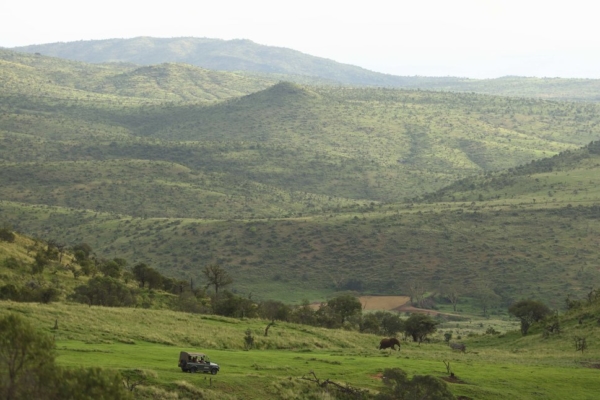 Safari in the Foothills of Mt Kenya - African Horse Safaris