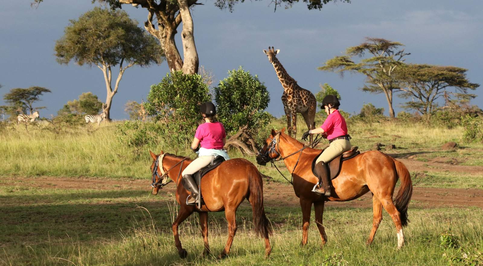 Horse Riding Safari in the Masai Mara - African Horse Safaris
