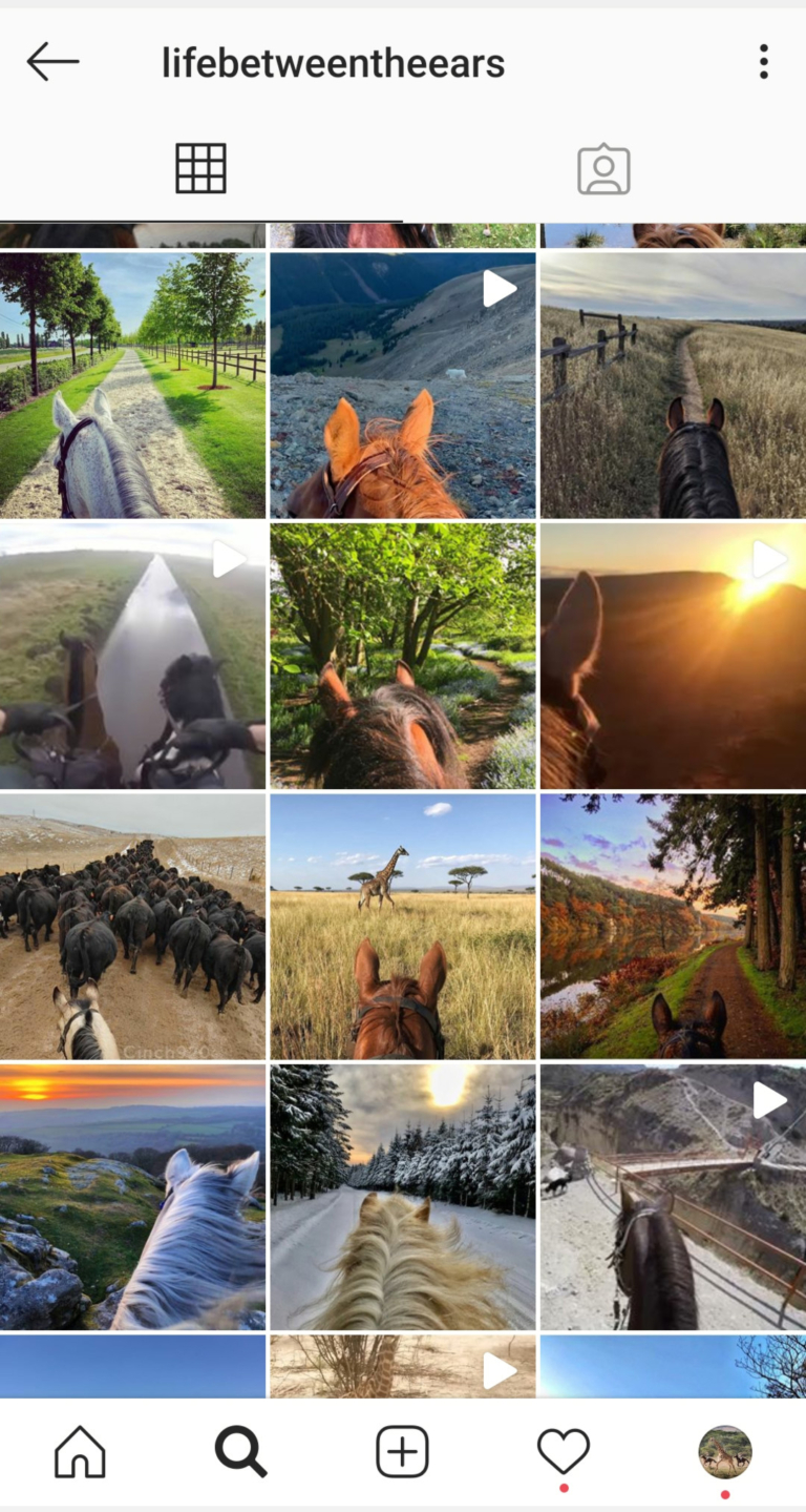 Our Top 10 Equestrian Instagram Accounts to Follow