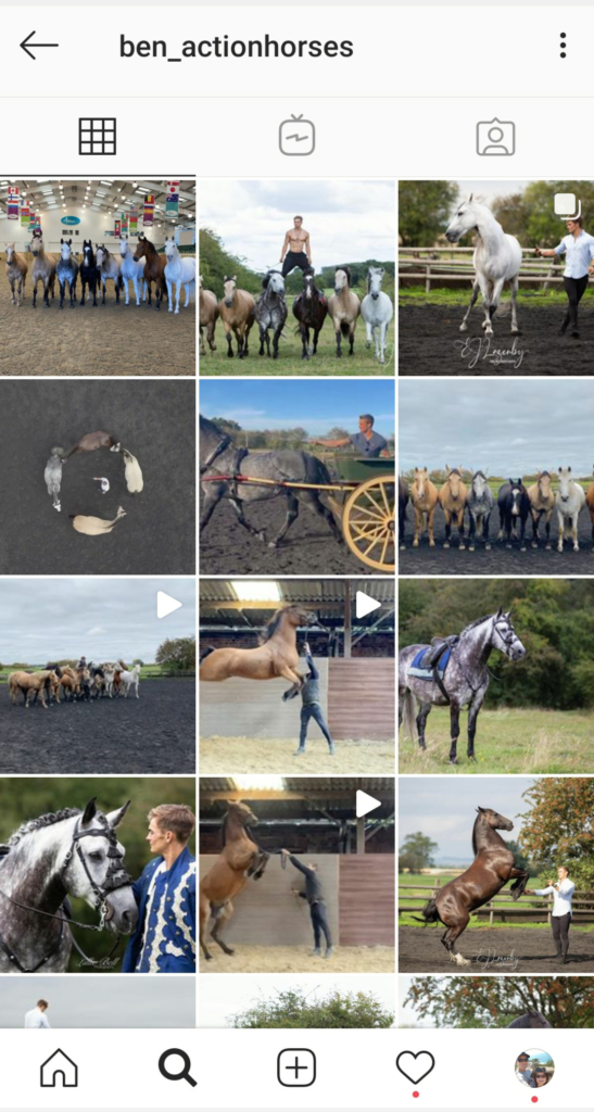 Our Top 10 Equestrian Instagram Accounts to Follow
