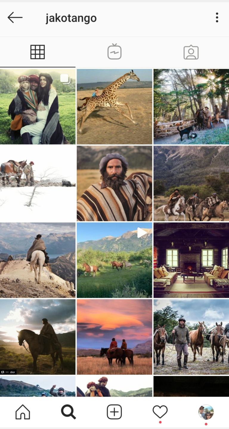 Our Top 10 Equestrian Instagram Accounts to Follow