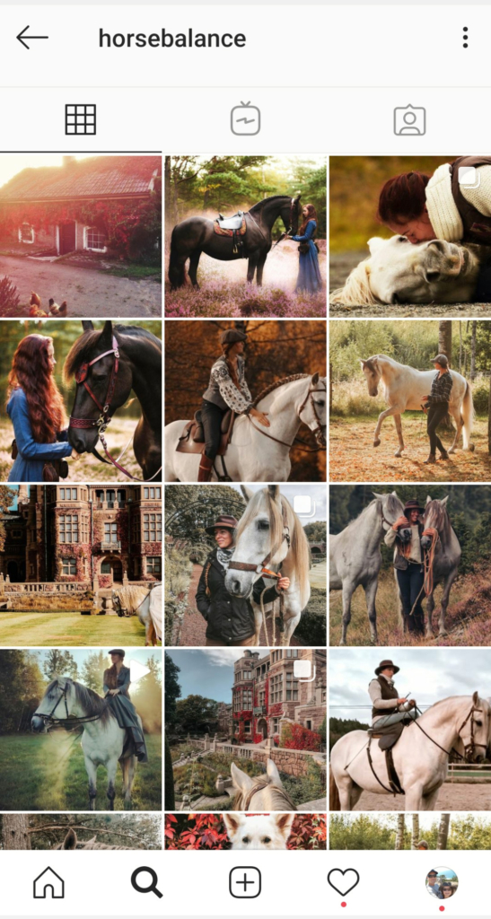 Our Top 10 Equestrian Instagram Accounts to Follow