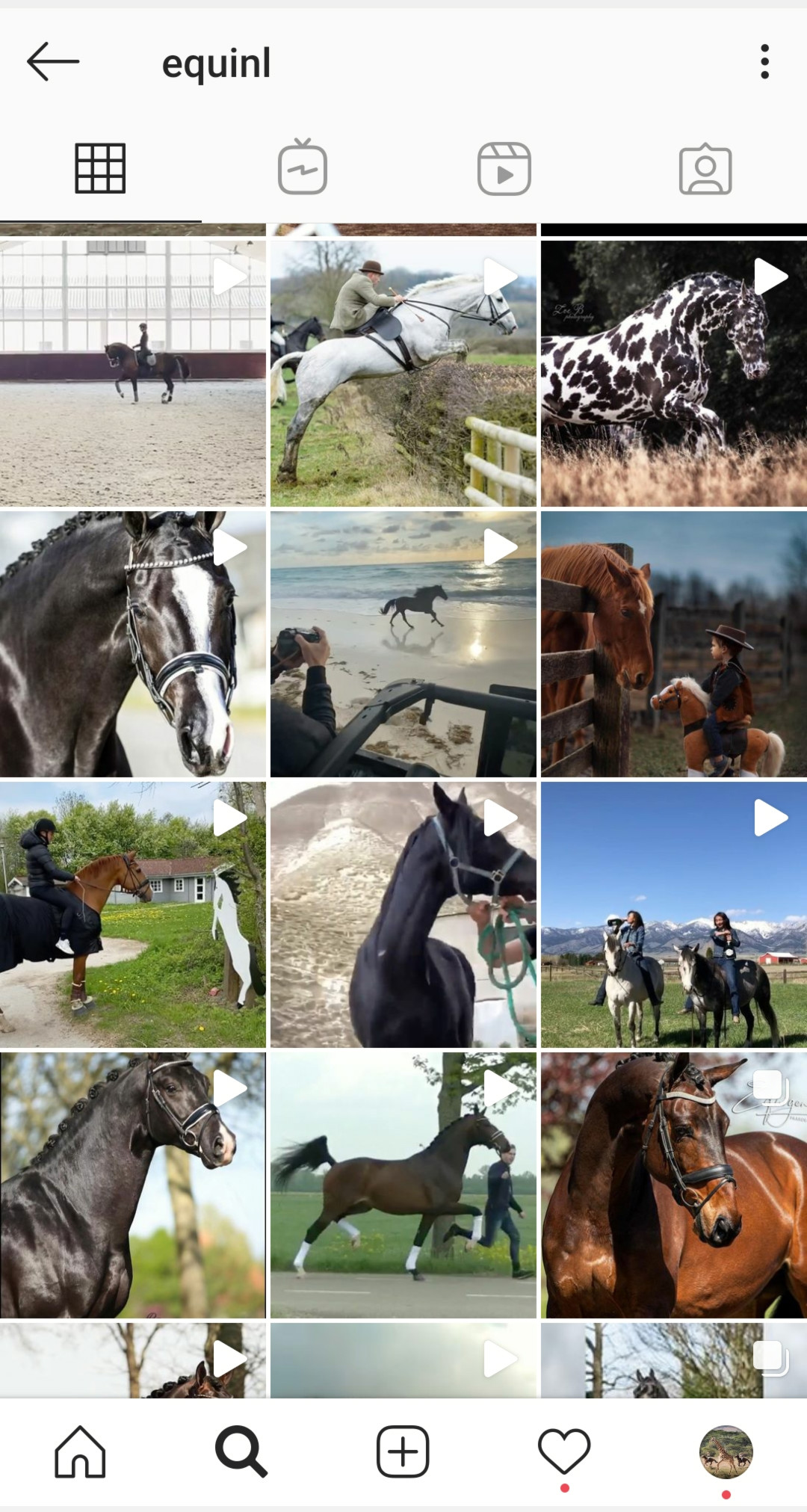 Our Top 10 Equestrian Instagram Accounts to Follow