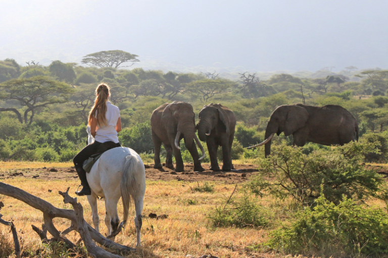 Horse Riding Holiday in Kenya - African Horse Safaris