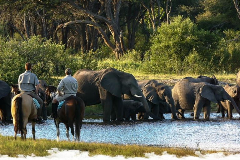 Horse Riding Safari in Zimbabwe - African Horse Safaris