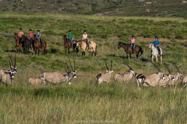 Moolmanshoek Lodge Horse Riding Holiday - African Horse Safaris