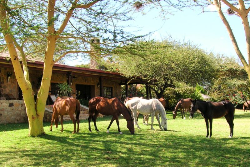 Adventure awaits at Sosian Lodge in Laikipia