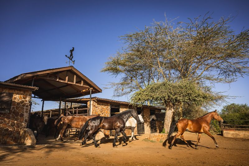 Adventure awaits at Sosian Lodge in Laikipia